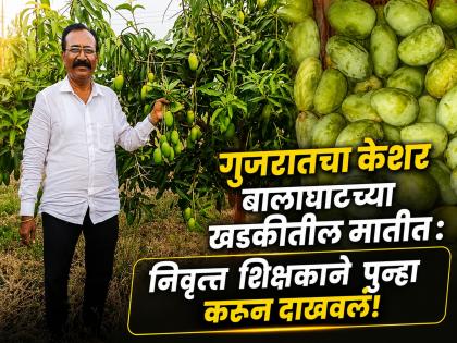 Beed News | Latest Beed News in Marathi | Beed Local News Updates ...