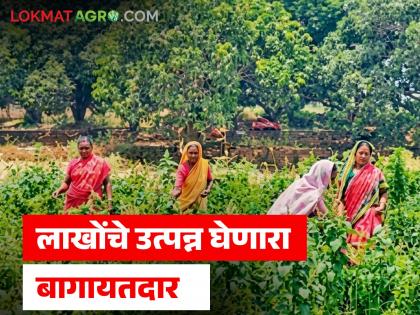 Farmer Success Story : जिद्दीने गगनभरारी! रामपुरातील शेतकरी बनला ...