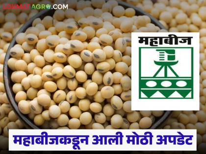 latest news MahaBeej Soybean Seed: Big update on Mahabeej for soybean ...