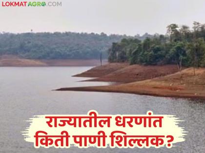 latest news Maharashtra Dam Water Storage : maharashtra dam water ...