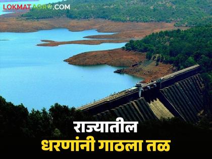 यंदा धरणांच्या पाणीसाठ्यात चिंताजनक घट; राज्यातील 'या' १८ धरणांची ...
