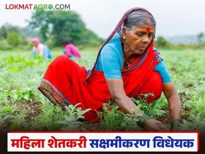 latest news Mahila Shetkari: mahila shetkari sakshamikaran vidheyak 2026