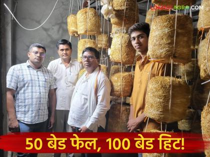 latest news Mushroom Farming Success Story : ram susar successful ...