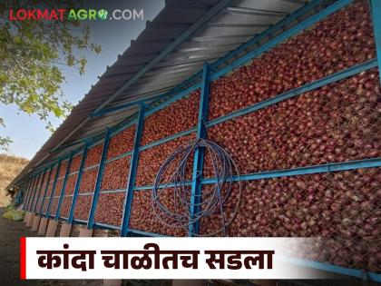 भाववाढीच्या आशेवर कांदा चाळीसाठी बँका व पतसंस्थांकडून काढले कर्ज ...
