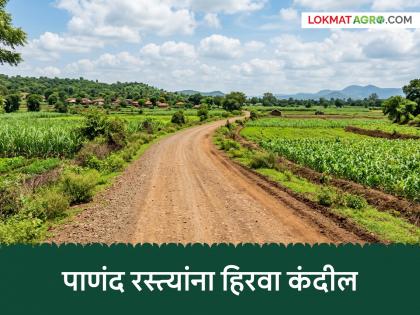 जिओ-रेफरन्सिंग तंत्रज्ञानामुळे पाणंद रस्त्यांचा मार्ग मोकळा; वाचा 'या ...
