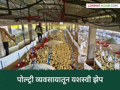 latest news Poultry Farming Success Story :farmer son built crore ...