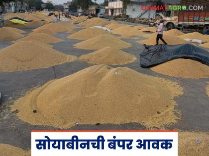 latest news Soybean Market: Soybeans from the warehouse came out ...