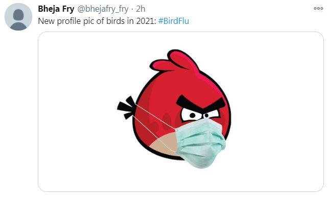 Bird flu outbreak memes jokes viral on social media people says Indians ...