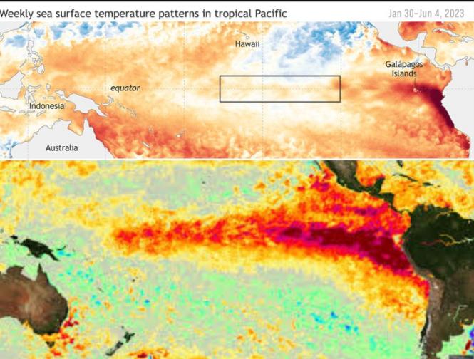Godzilla El Nino: 'सुपर अल निनो'ने ५ कोटी लोकांचा घेतला होता जीव, १५० ...