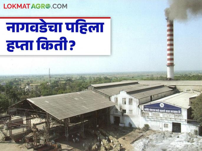 नागवडेचा हंगाम १० फेब्रुवारीपर्यंत चालणार; ऊस बिलाचा पहिला हप्ता कितीने ...