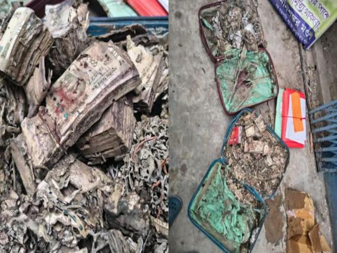 कॉलेजमध्ये बंद खोलीत सापडल्या पैशांनी भरलेल्या २ बॅगा; अनेक नोटा ...
