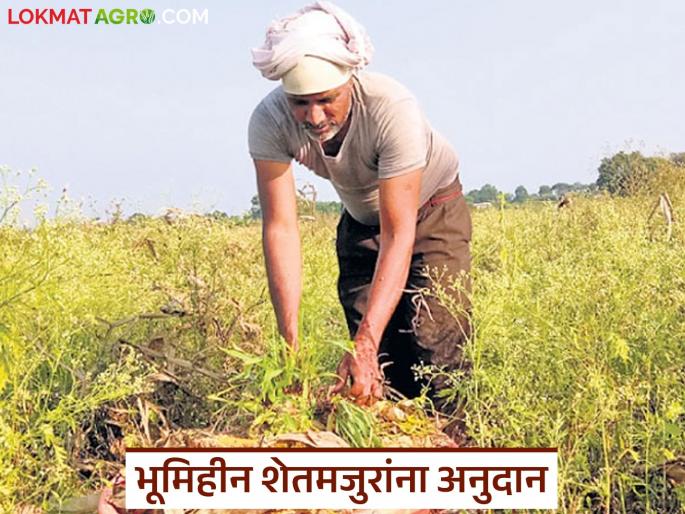 भूमिहीन शेतमजुरांच्या अनुदान योजनेचा निधी आला, पहा जिल्हानिहाय किती ...