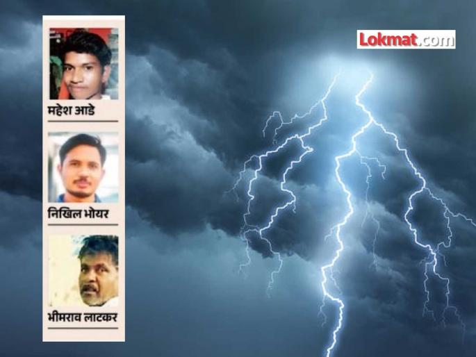 लिंबाच्या झाडाखाली घेतला आसरा, पण काळ ठरली वीज; यवतमाळात तिघांचा मृत्यू ...