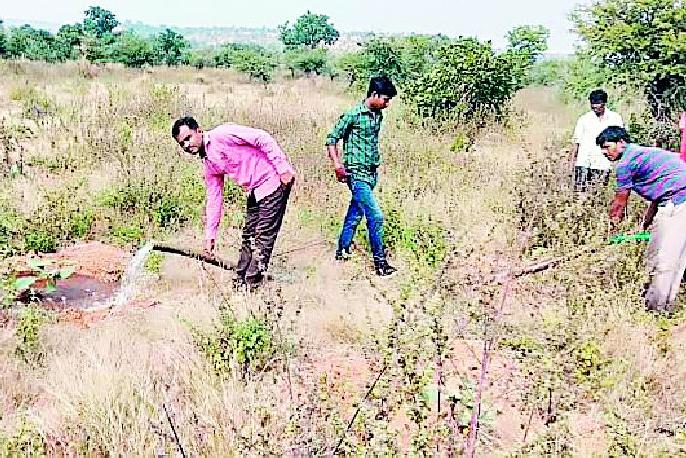 अऱ्हाड, कुऱ्हाड रोपवनात हिरवळ फुलली - Marathi News | Arhad, the Kurhad ...