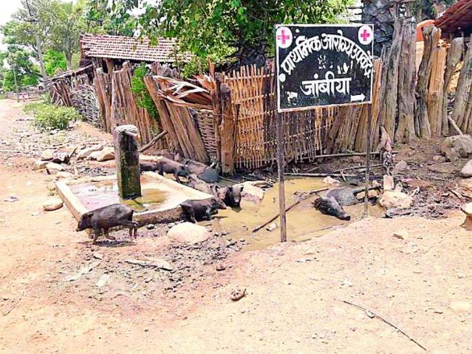 जलस्त्रोतांना घाणीचा विळखा - Marathi News | Dirt the water sources ...