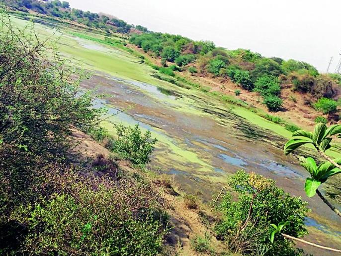 वर्धा नदी प्रदूषणाच्या विळख्यात - Marathi News | In the wake of Wardha ...