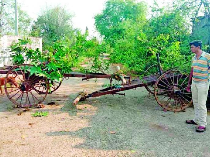 सिहोरा परिसरातील मुख्य रस्ते बंद - Marathi News | Close to main roads ...