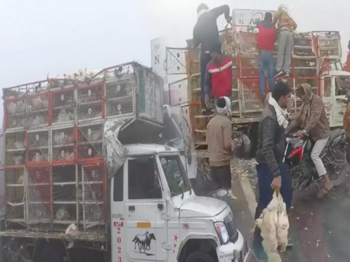 Several Vehicles Collide on Agra-Lucknow Expressway Due to Dense Fog, People Robbed Chickens ...