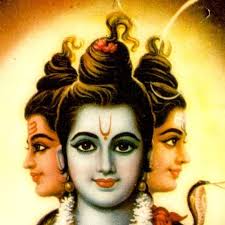 '' दिगंबरा दिगंबरा श्रीपाद वल्लभ दिगंबरा ''चा नारायणपूरात जयघोष ...
