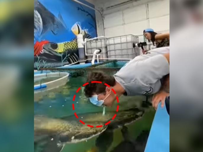 माशाला तोंडाने अन्न भरवण्याचा प्रताप पडला महागात, माशाने तोंडावरच केला ...