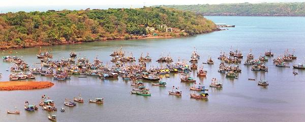 CoronaVirus Lockdown : देवगड तालुक्याची आर्थिक नाडी लॉकडाऊनच्या जाळ्यात ...