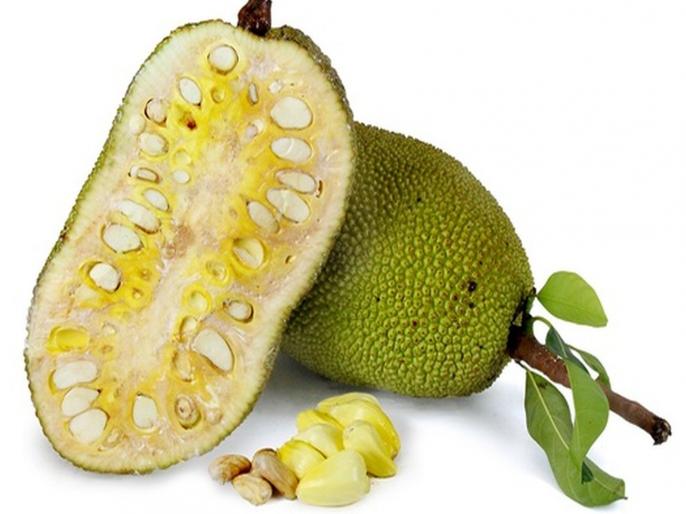 डायबिटीसच्या रूग्णांसाठी कसा फायदेशीर ठरतो फणस? - Marathi News ...