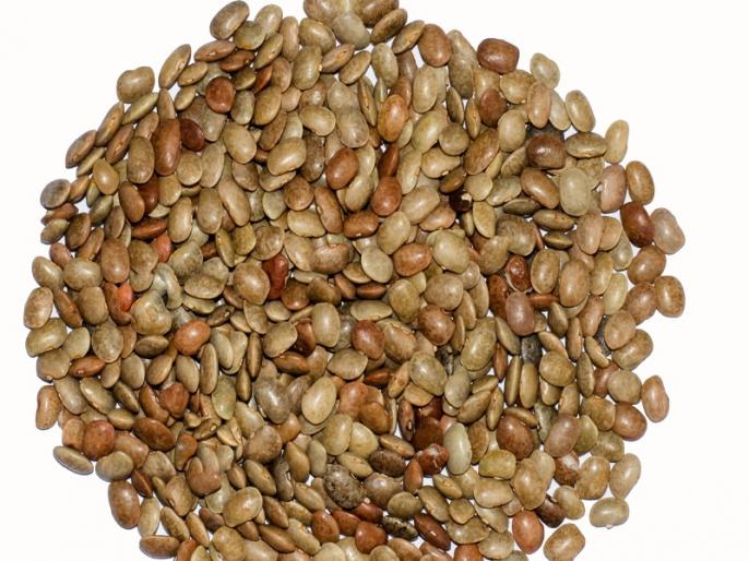 आरोग्यवर्धक कुळीथ किंवा हुलगा ;थंडीत नक्की खाऊन बघा - Marathi News ...