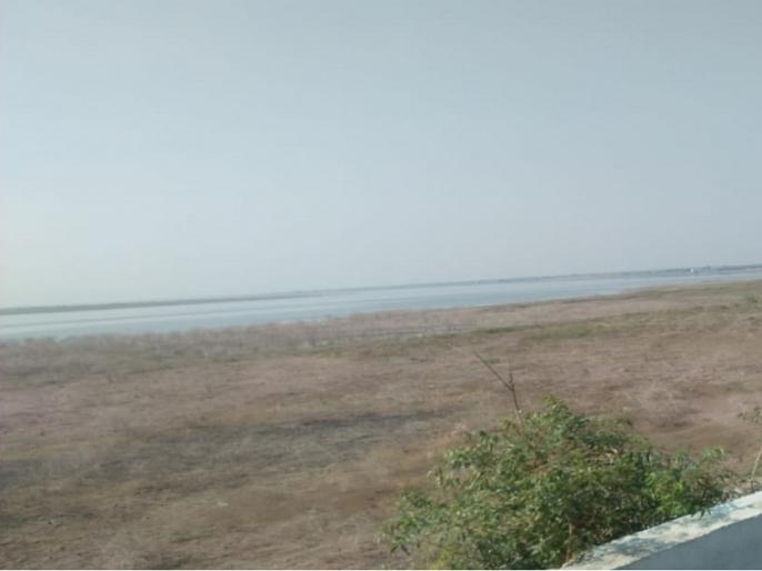पावसाने पाठ फिरवल्याने मांजराने तळ गाठला - Marathi News | Manjara Dam ...