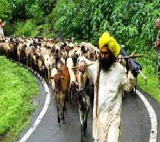 धनगर समाजाचा २ आॅगस्टला मोर्चा - Marathi News | Front of Dhangar ...