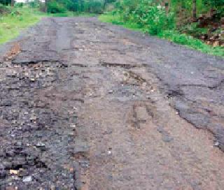 पिंंगळादेवी रस्त्याची दुर्दशा - Marathi News | Pingle Devi Road Trap ...