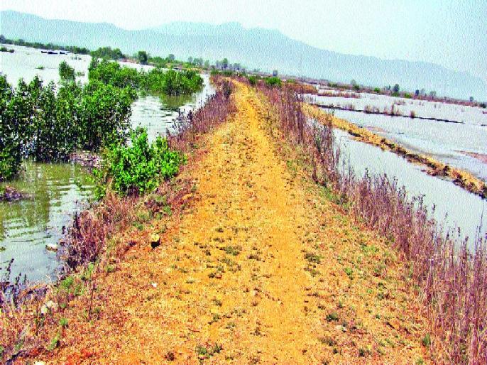 खारभूमी बंधाऱ्यांच्या कामासाठी धावाधाव; मनुष्यबळाअभावी यंत्राद्वारे ...