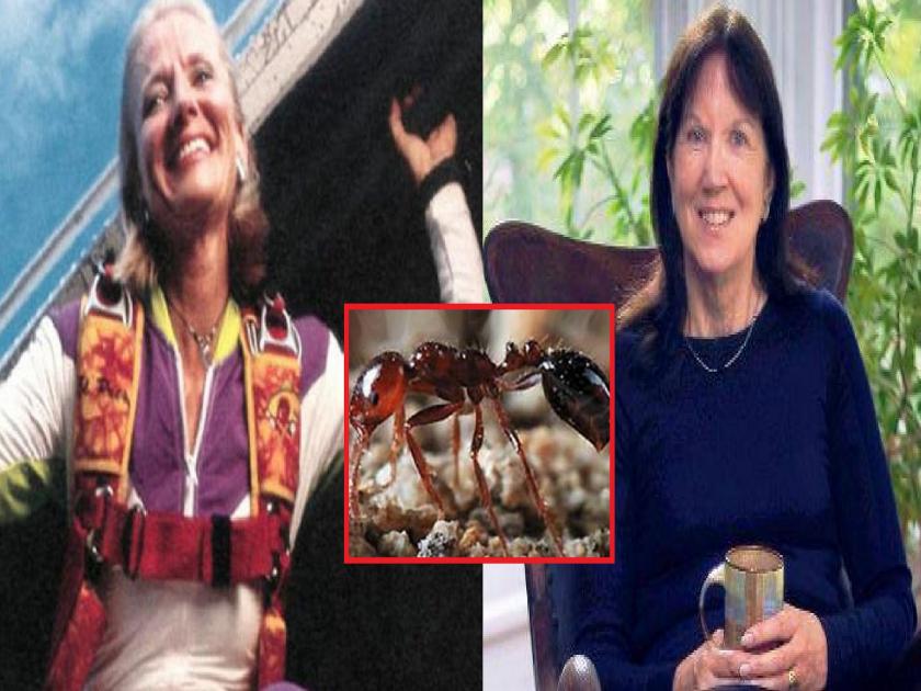 14500 फूट उंचीवरुन जमिनीवर कोसळली महिला, मुंग्या बनल्या देवदूत; असा ...