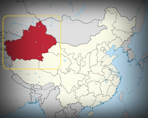 Xinjiang's major land port reports 10-year high in cross-border ...