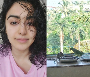 Adah Sharma shares a unique glimpse of parrot-squirrel bond with SRK's ...