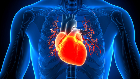 New noninvasive imaging tech to scan skin, signal risk of heart disease ...
