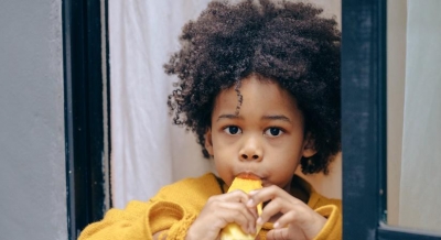 Six mango varieties you must try this summer - www.lokmattimes.com