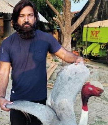 UP forest officials soften stand on Arif-sarus issue - www.lokmattimes.com