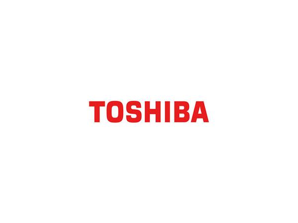 Toshiba Successfully Demonstrates Nearline HDDs with Massive Capacity ...