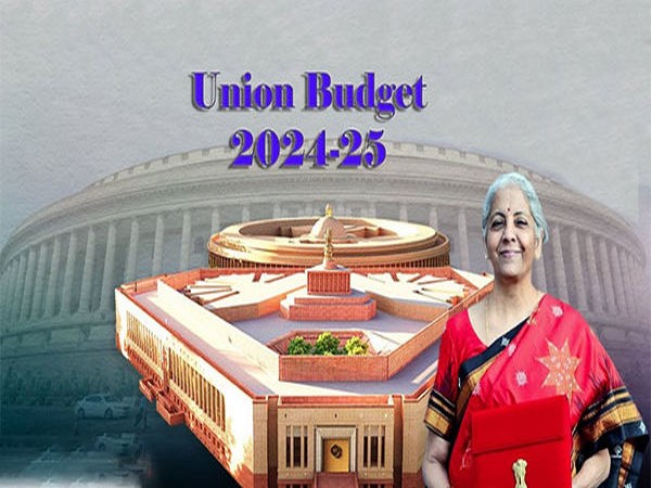 Here's what will get cheaper and costlier after this Budget - www ...