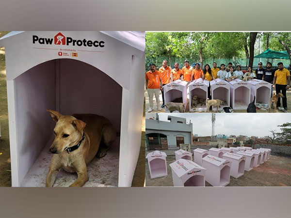 Mars Petcare and Swiggy Instamart Launch Paw Protecc Initiative: Lead the Charge to Safeguard ...