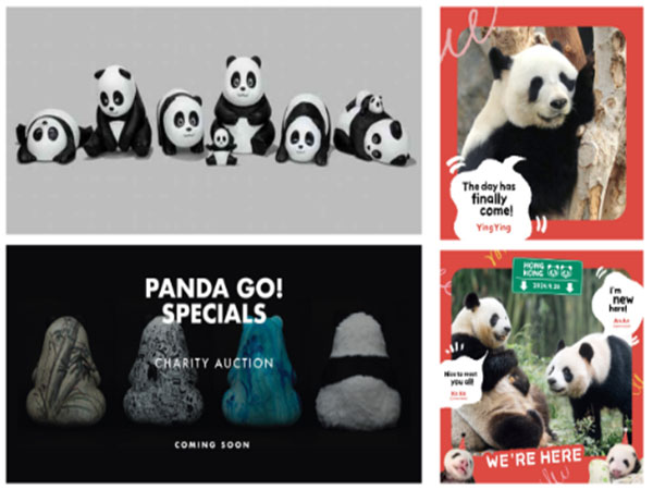 Hong Kong to Host its Largest Panda-themed Exhibition with 2,500 Panda ...