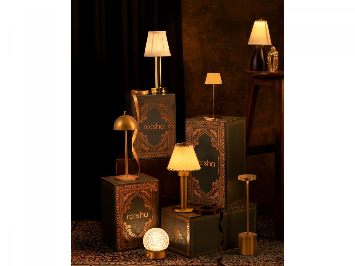 India's Wireless Lighting Pioneer Rosha plans to scale Globally with ...