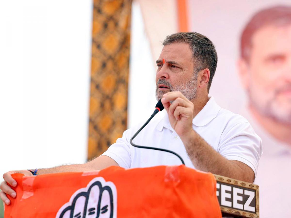 'Dalits will play central role in Congress': Rahul Gandhi - www ...