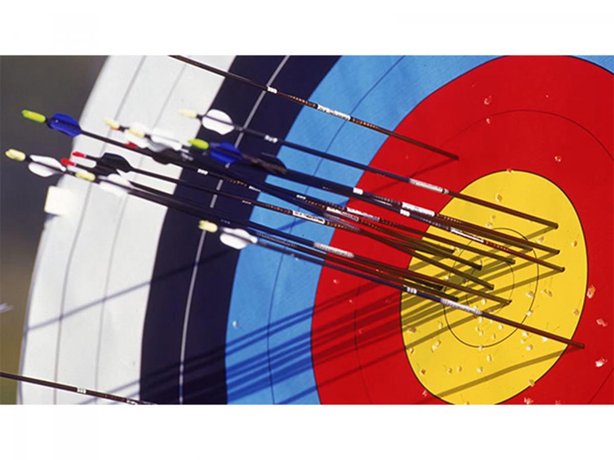 Veteran Indian Olympian archer Shyam Lal Meena dies at 61 - www ...