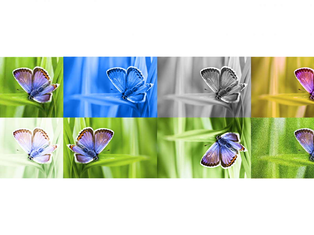 Google tests new tool to watermark, identify AI images - www ...