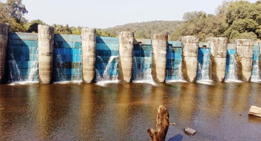 Goa targets to construct 100 Bandharas by 2024 for irrigation - www ...