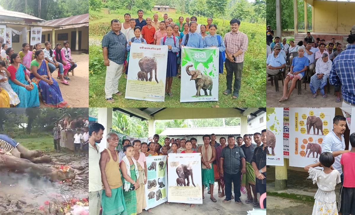 Human-elephant conflict claims 118 lives since 2022 in Assam - www ...