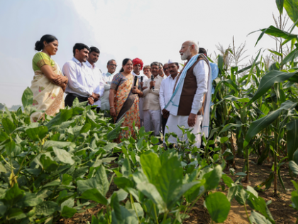 India’s solar-powered agriculture model a scalable blueprint for Africa ...