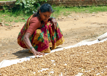 Assam Speaker urges farmers to adopt multiple cropping - www ...