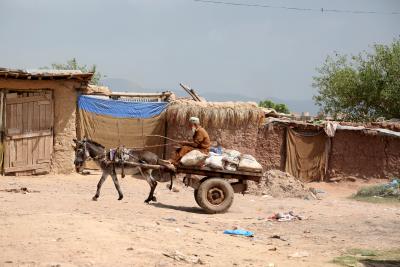 Pakistan: Centuries-old fort dating back to Hindu Shahi period crumbles ...